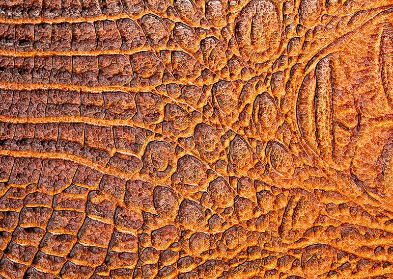 Alligator Skin, As Background Stock Image - Image of culture, italy ...