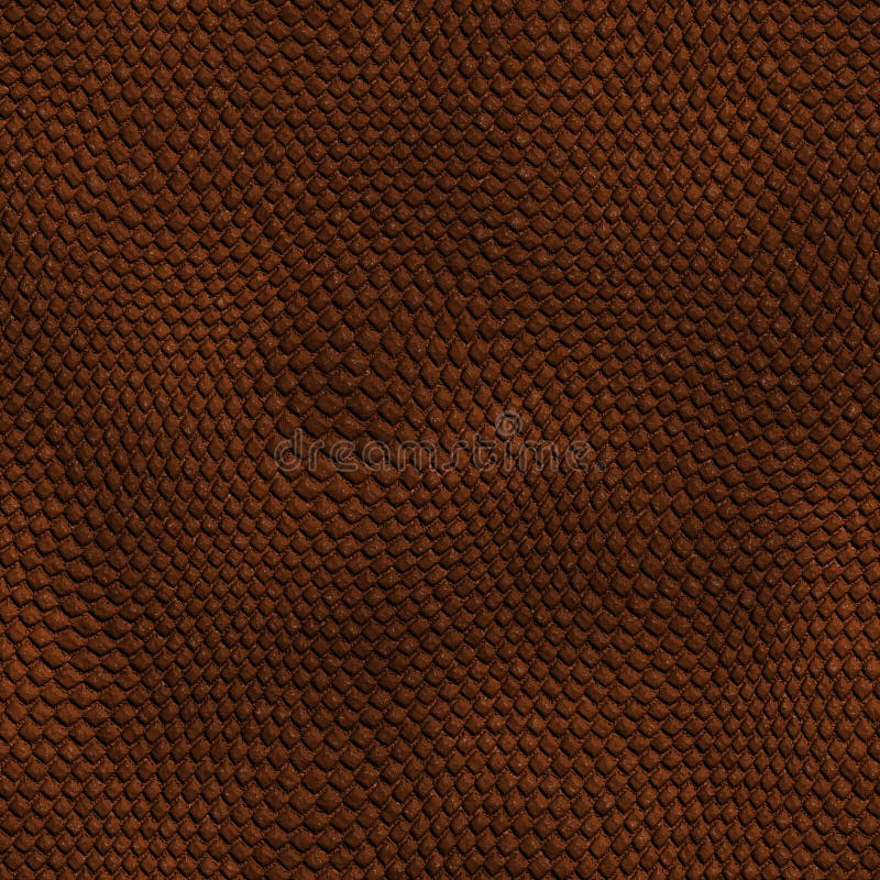 Alligator Skin Texture. Crocodile Seamless Pattern, Reptile Scales Dark ... Alligator Skin Texture. Crocodile Seamless Pattern, Reptile Scales Dark ...