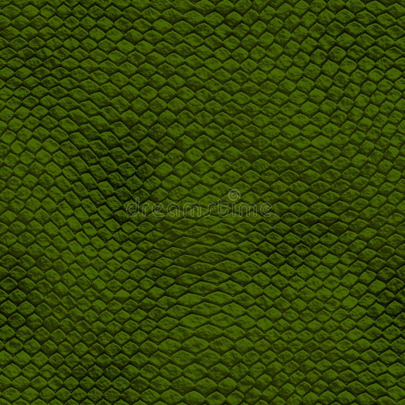 Alligator Skin Texture. Seamless Crocodile Pattern, Reptile with Green ... Alligator Skin Texture. Seamless Crocodile Pattern, Reptile with Green ...