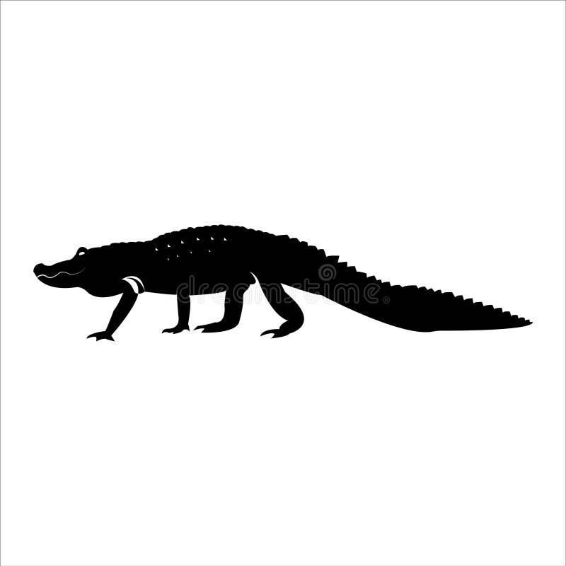 Alligator Shadow Stock Illustrations – 249 Alligator Shadow Stock ...