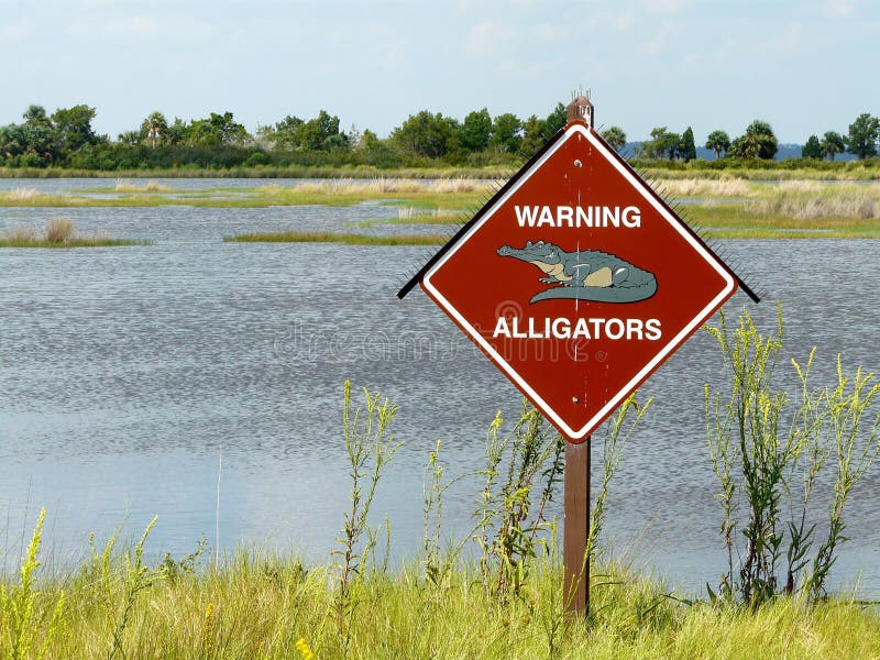 Alligator Warning Sign stock image. Image of ecosystem - 11880337
