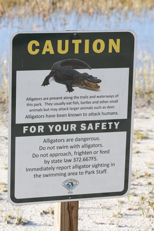 Alligator Warning Sign in Florida Editorial Stock Photo - Image of sign ...