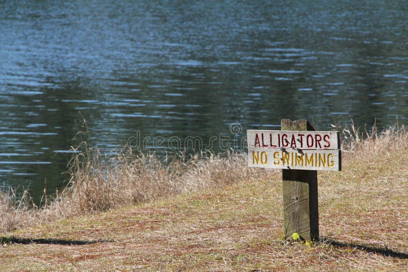 Alligators sign stock photo. Image of coast, refuge, park - 17687708