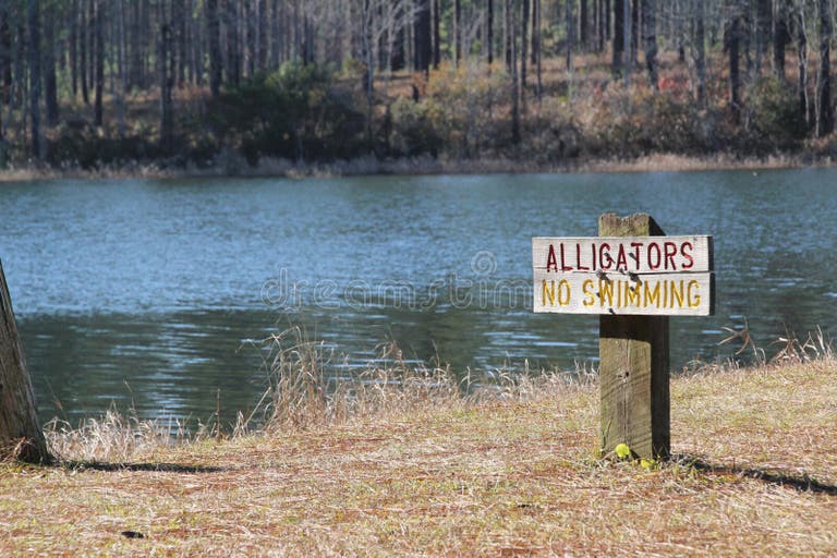Alligators sign stock photo. Image of sign, parks, marks - 17687720