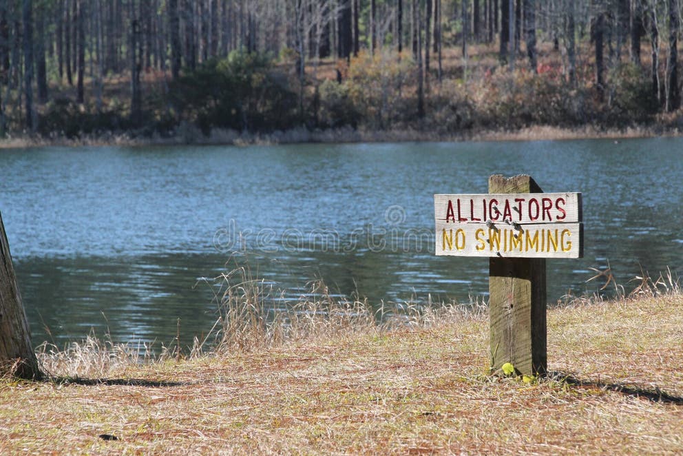 Alligators sign stock photo. Image of sign, parks, marks - 17687720