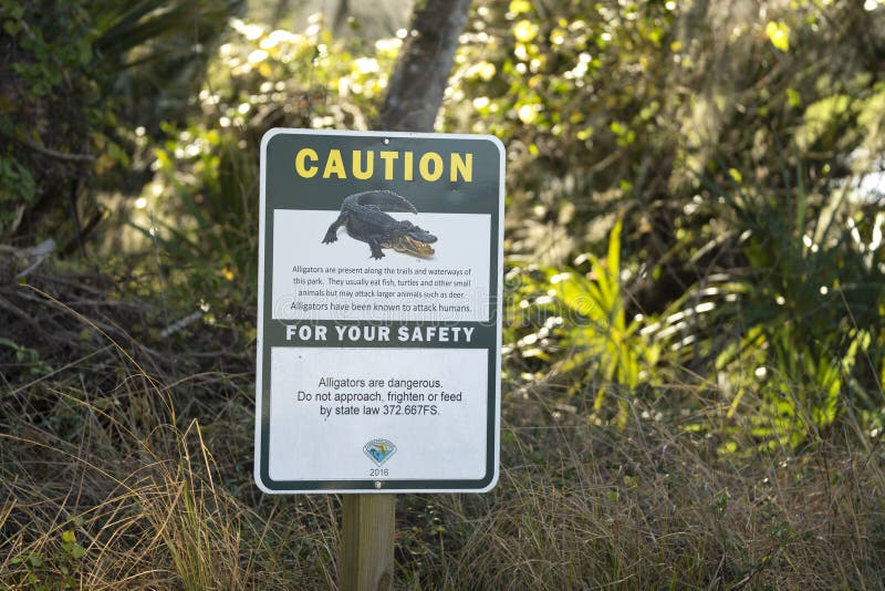 Florida State Parks Wildlife