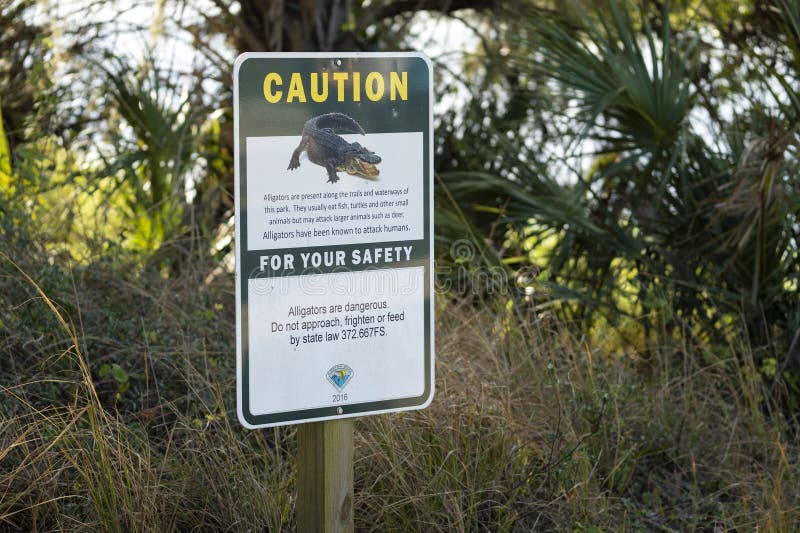 Alligators Warning Sign in Florida State Park about Caution and Safety ...