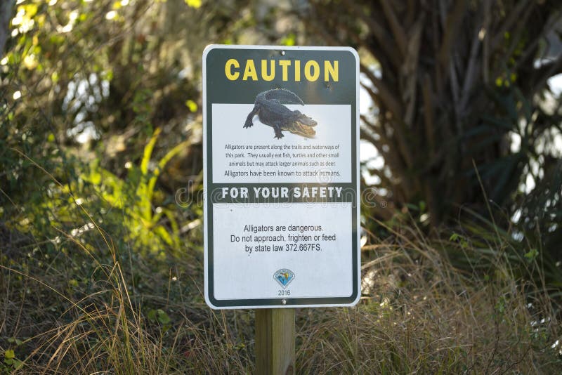 Alligators Warning Sign in Florida State Park about Caution and Safety ...