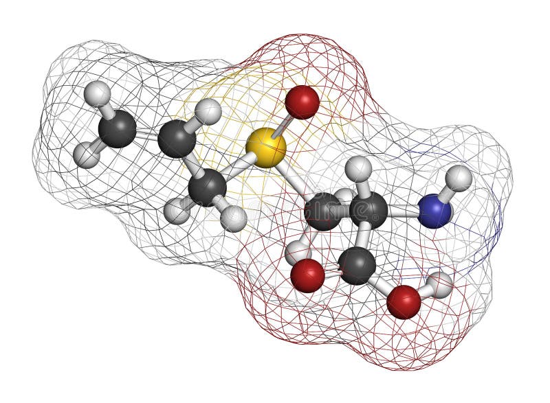 Allicin Garlic Molecule. Formed from Alliin by the Enzyme Alliinase ...