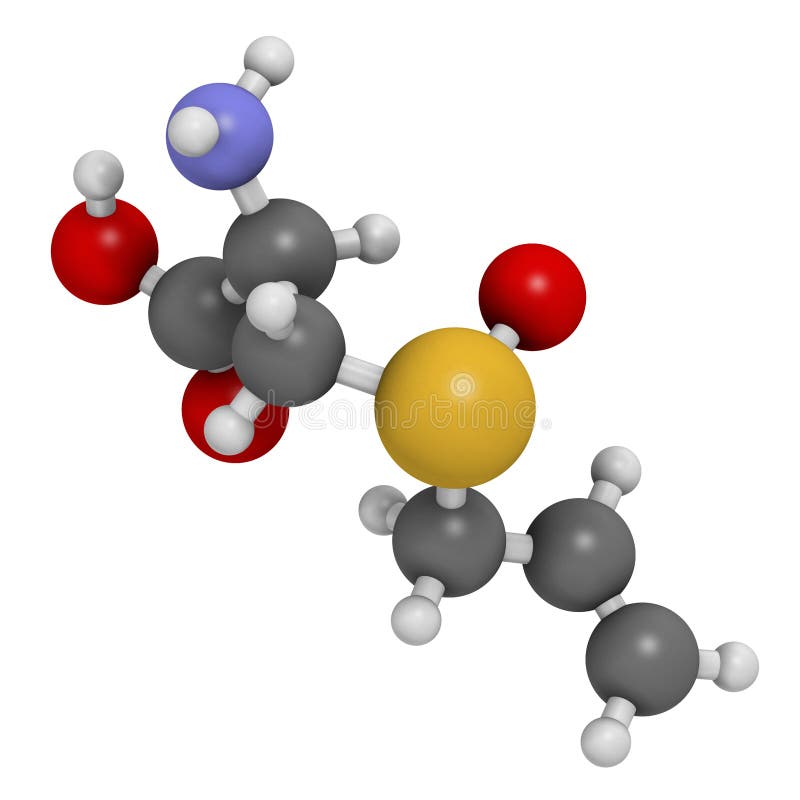 Allicin Garlic Molecule. Formed from Alliin by the Enzyme Alliinase ...