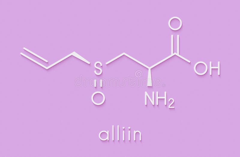 Alliin Garlic Molecule. Atoms are Represented As Spheres with ...