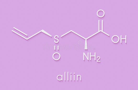 Alliin Garlic Molecule. Skeletal Formula. Stock Illustration ...