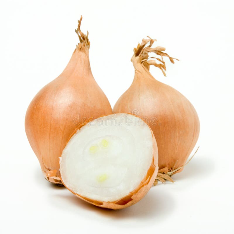 Allineamento Dello Scalogno Fotografia Stock - Immagine di chiusura ...