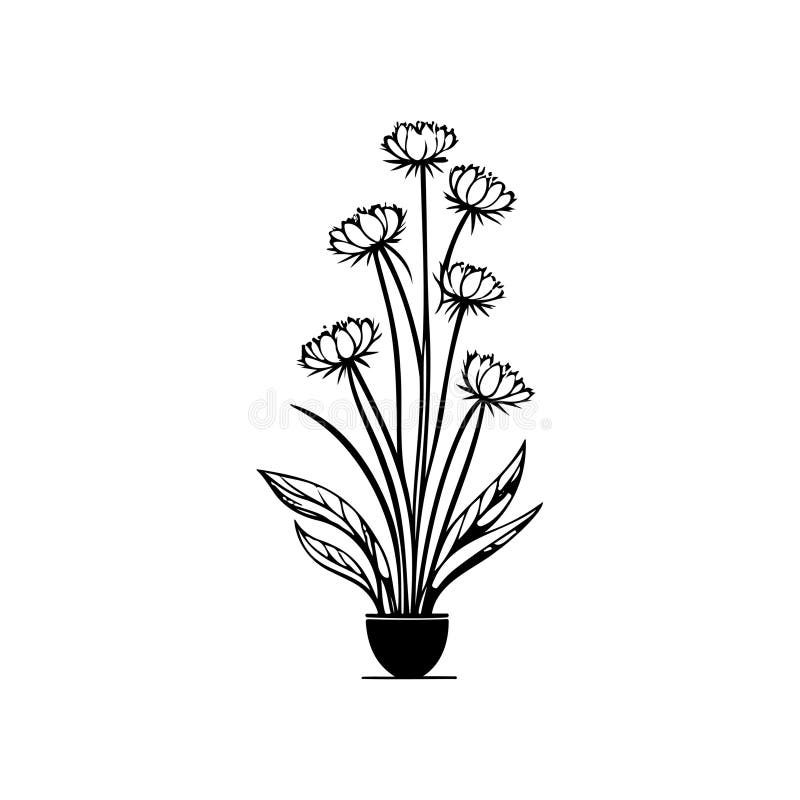 Allium Icon Hand Draw Black Colour Plants Logo Symbol Perfect Stock ...