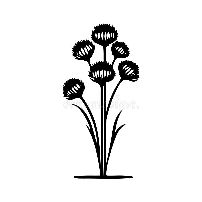 Allium Icon Hand Draw Black Colour Plants Logo Symbol Perfect Stock ...