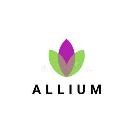 Allium logo design stock vector. Illustration of elements - 215656072