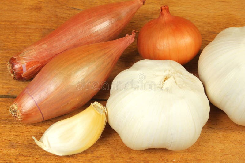 Allium vegetables stock image. Image of allium, bulb - 13432989