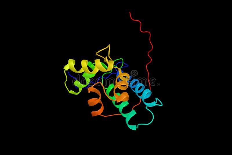 Allograft Inflammatory Factor 1, a Protein that Exists Stock ... Allograft Inflammatory Factor 1, a Protein that Exists Stock ...