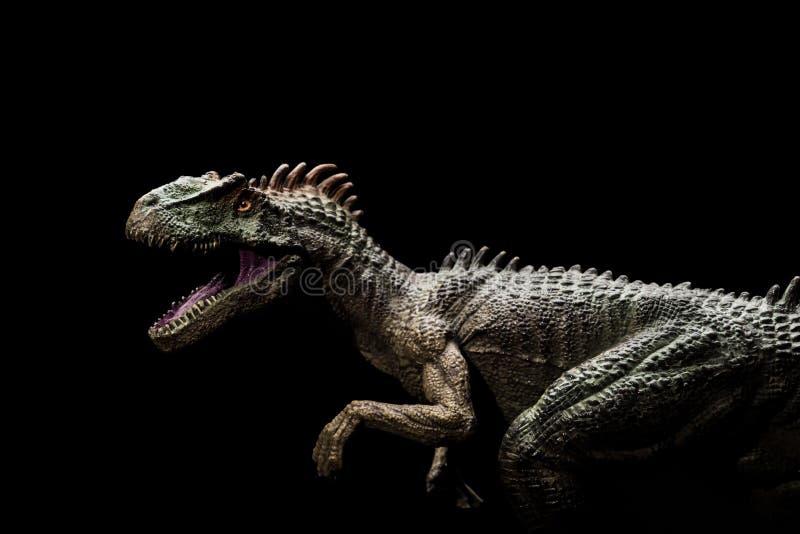 Allosaurus stock image. Image of scary, dark, monstrous - 97064217