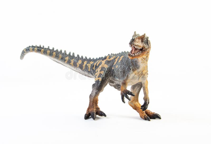 Allosaurus ,dinosaur on White Background Stock Image - Image of ...