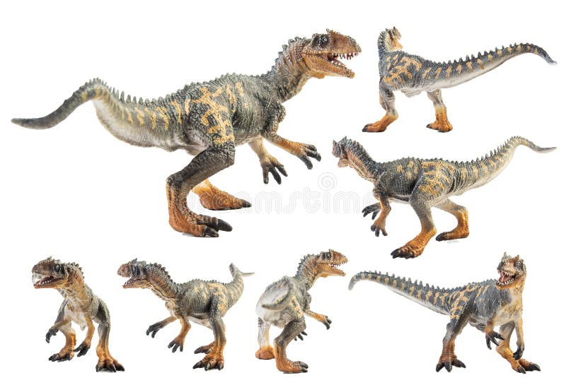Allosaurus ,dinosaur on White Background Stock Image - Image of ...