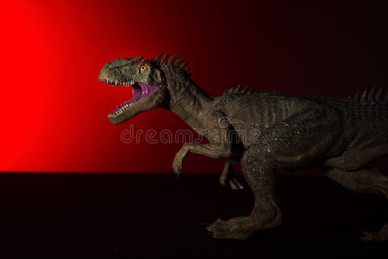 Allosaurus with Spot Light on the Head and Red Light Stock Photo ...