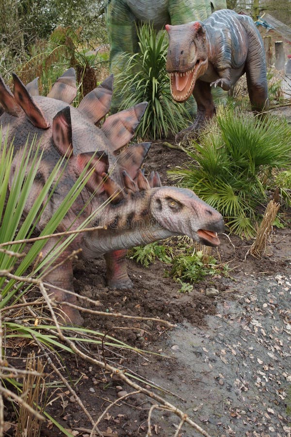 Allosaurus and Stegosaurus Dinosaurs Fight - 3D Stock Illustration ...