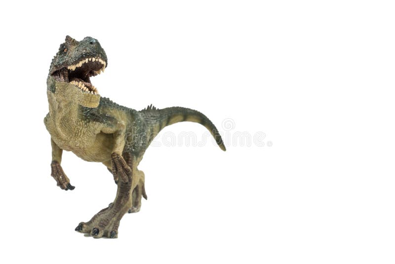 Allosaurus on White Background Stock Photo - Image of ceratopsian ...