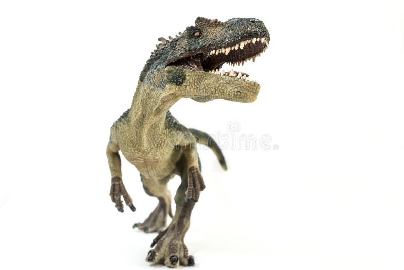 Allosaurus on White Background Stock Photo - Image of allosaurus ...