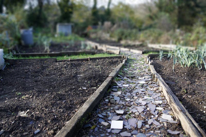 Allotment garden path stock image. Image of grass, lush - 43925859