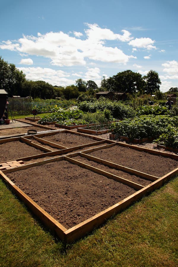 Planting Frame, Pea Plant, Organic Farm Stock Photo - Image of planting ...