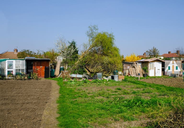 Allotment Plots in Spring with Fallen Tree Stock Photo - Image of green ...