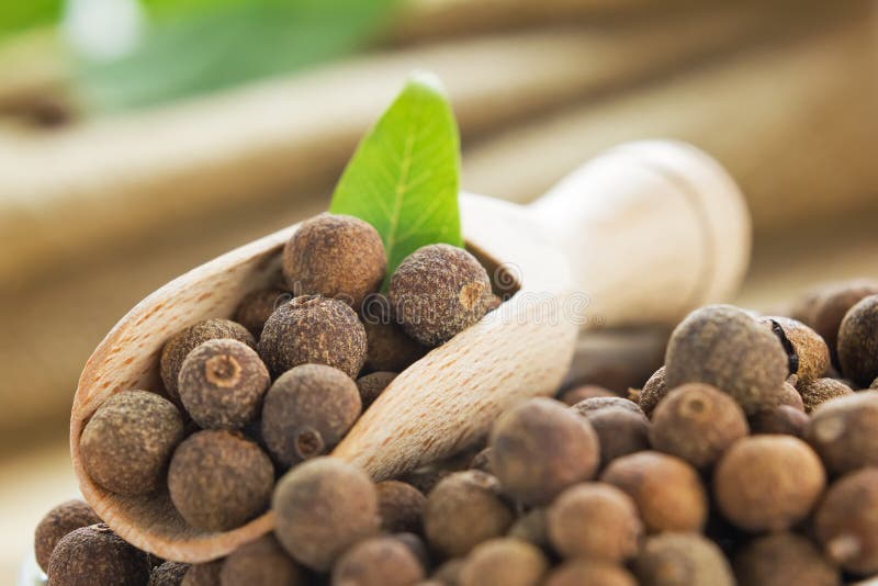 Allspice stock photo. Image of ingredient, condiment - 26914532
