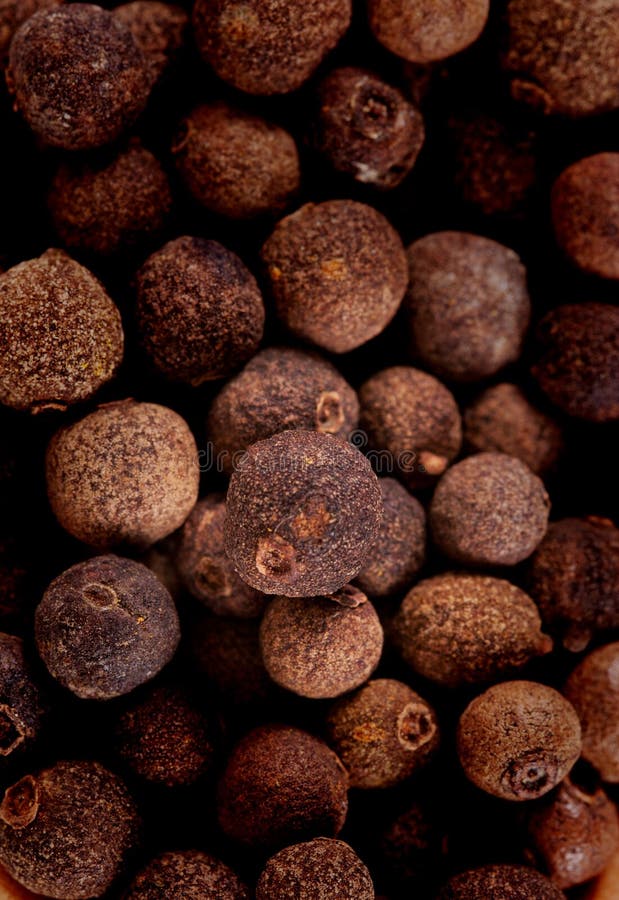 Allspice stock image. Image of gourmet, healthy, culinary - 28727187
