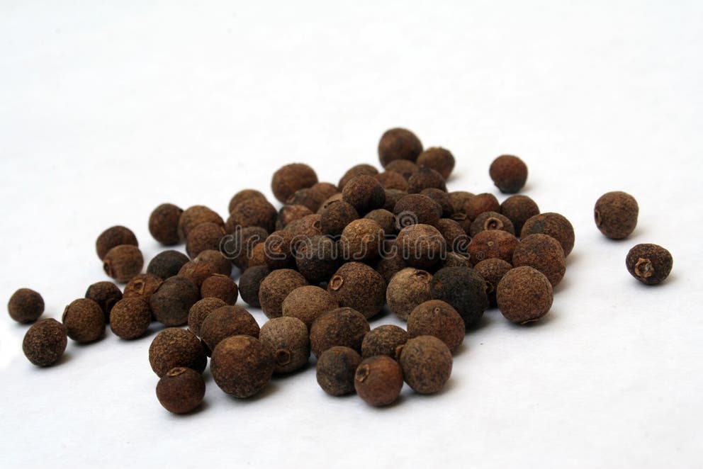 Allspice stock photo. Image of delicious, culinary, bitter - 5506402