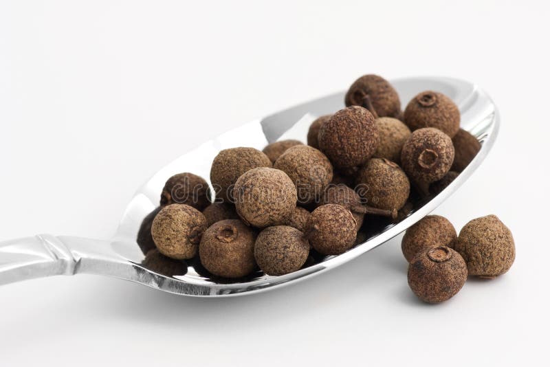 Allspice stock image. Image of oriental, healthy, flavouring - 8142619