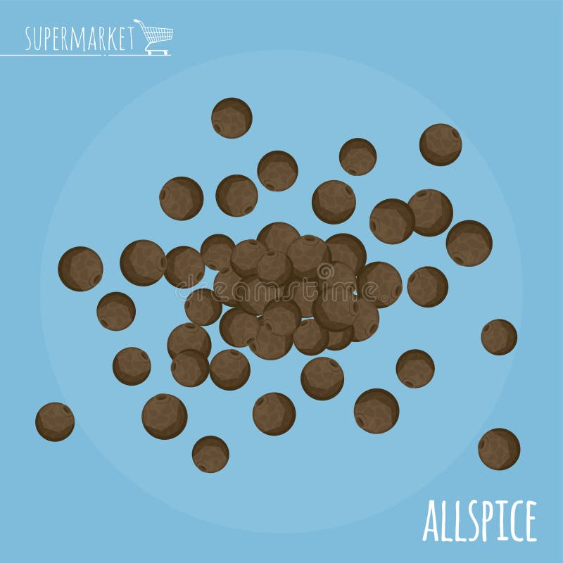 Allspice Stock Illustrations – 1,480 Allspice Stock Illustrations, Vectors & Clipart - Dreamstime