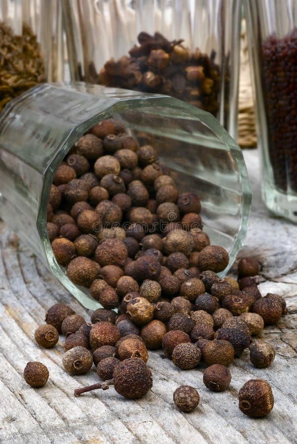 Allspice (Pimenta dioica) stock photo. Image of seed - 39581508
