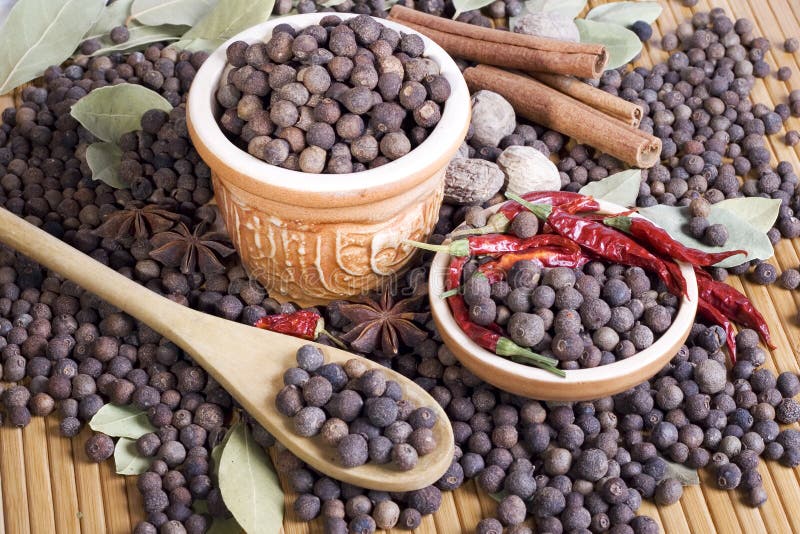 Allspice Tree and Other Spice Stock Photo - Image of spicery, taste ...