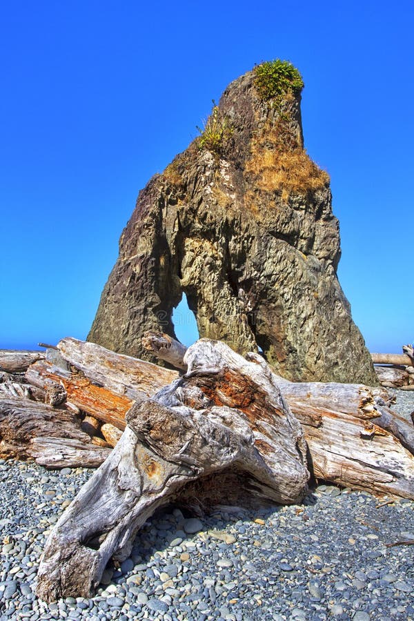 Allure of Ruby Beach on Pacific Ocean Coast Stock Photo - Image of ...