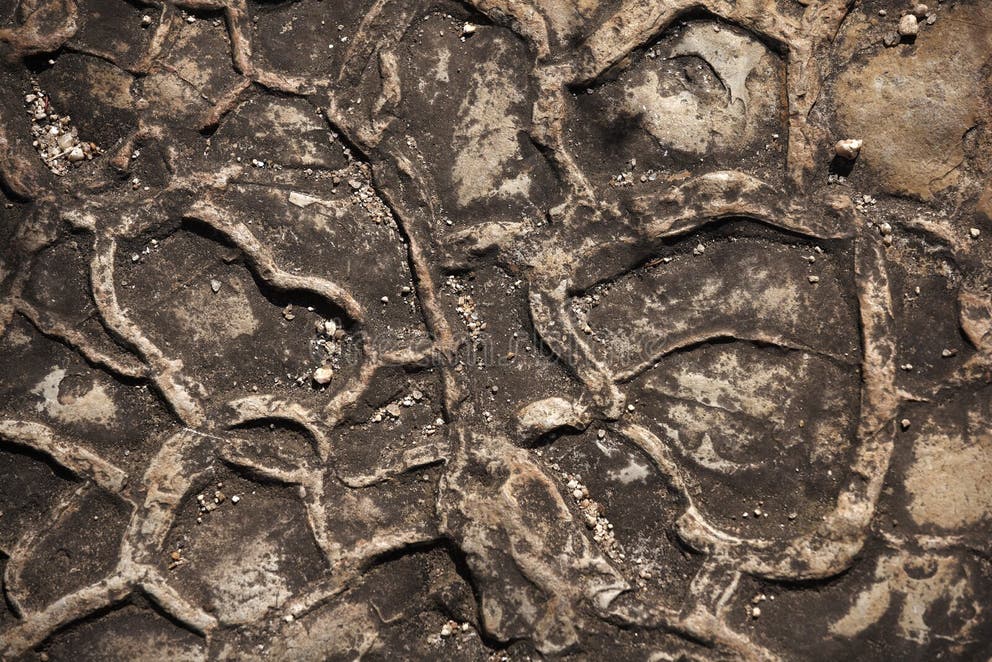 Alluvial shale pattern stock photo. Image of paper, hard - 22013584