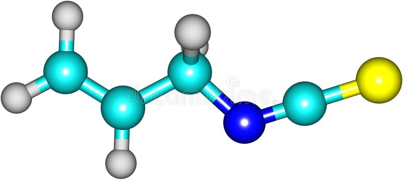 Allyl Isothiocyanate Model - Wasabi Stock Illustration - Illustration ...