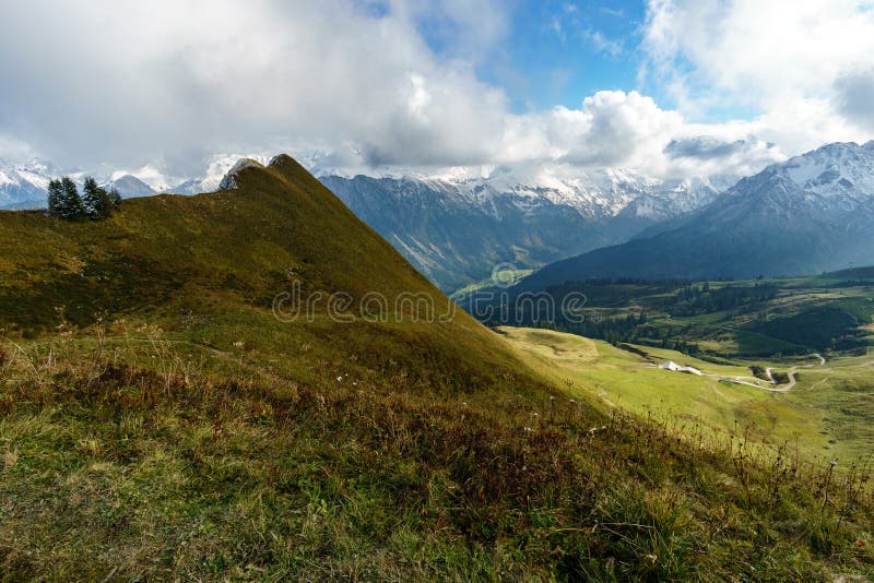 Alm with Alpine Wooden Buildings Stock Image - Image of europe, idyllic ...
