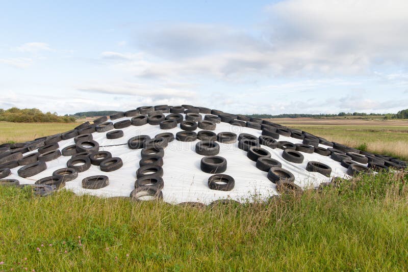 Almacenamiento Del Ensilaje Imagen de archivo - Imagen de verde ...