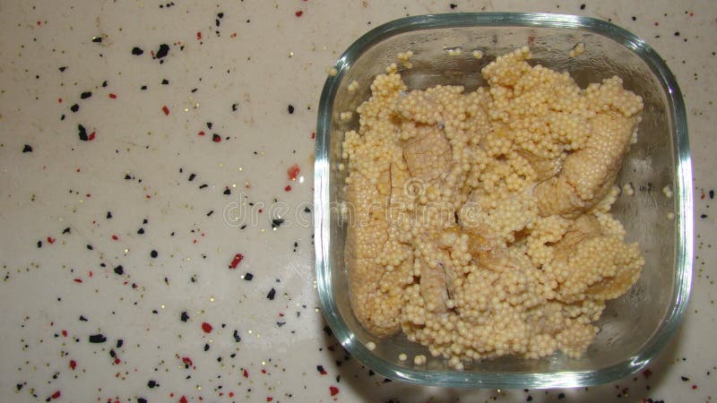 Almas Caviar , Very Rare and Exclusive Caviar ! Stock Photo - Image of ...