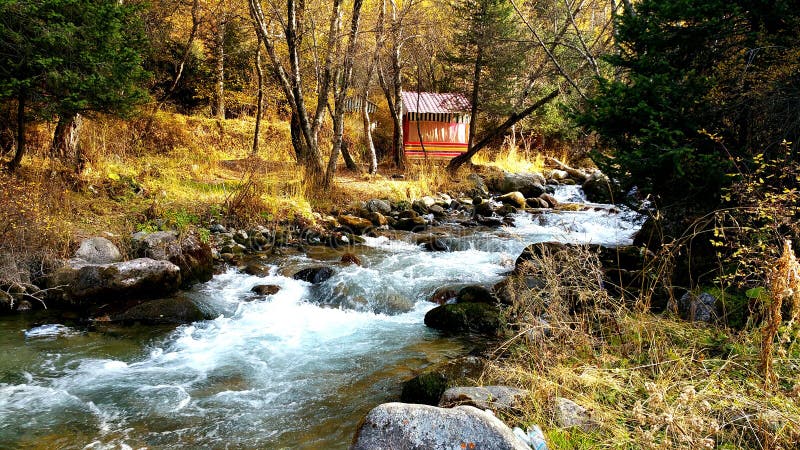 Almaty Almarasan Kazahstan Forest River Stock Photo - Image of ...