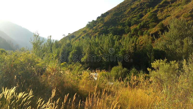 Almaty Almarasan Kazahstan Forest River Stock Image - Image of autumn ...