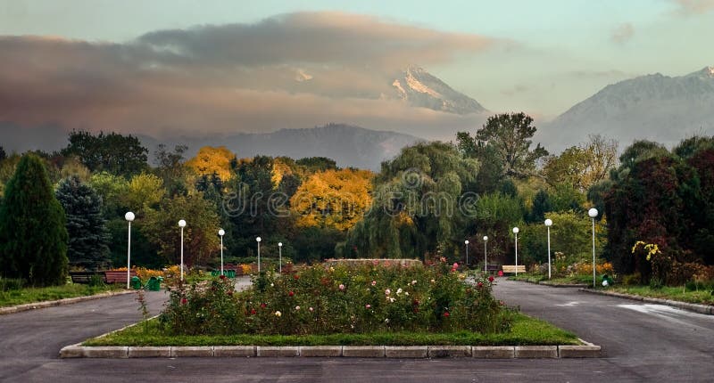 In the Almaty City Botanical Park Stock Photo - Image of beauty ...