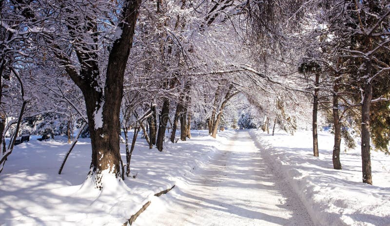 Almaty city. stock photo. Image of sellers, mast, town - 84834566