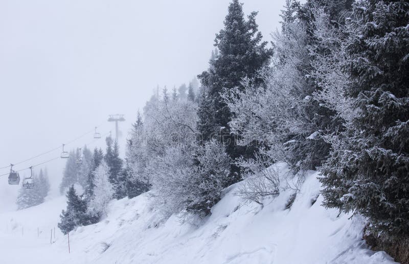 Almaty city. stock image. Image of snowfall, almaty - 263636441